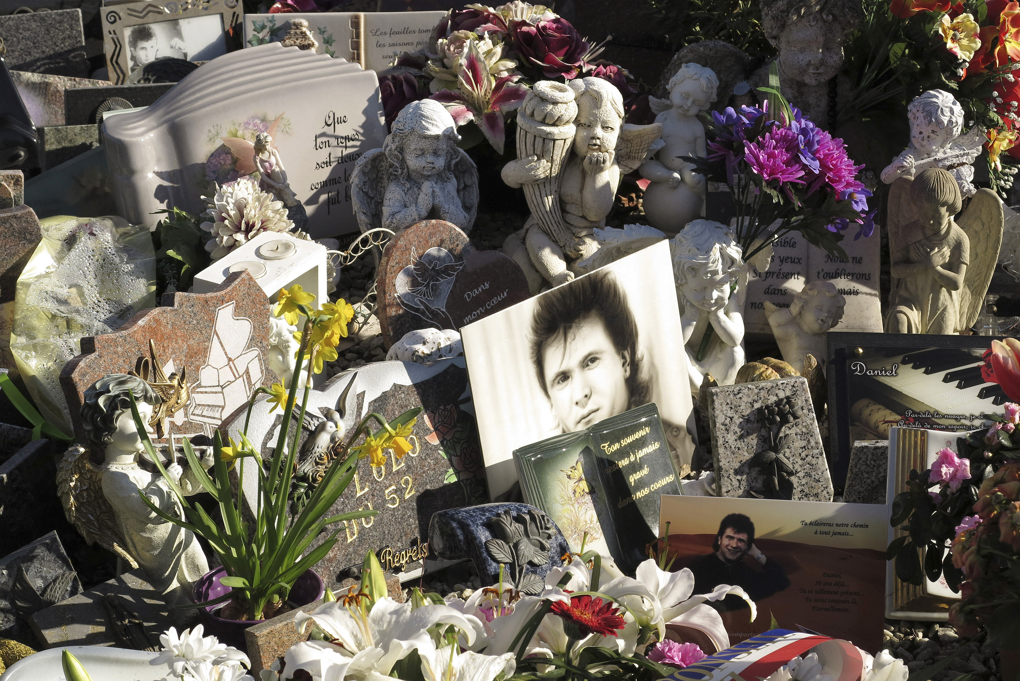 Daniel Balavoine : 40 ans après, retour sur une vie trop courte mais ...