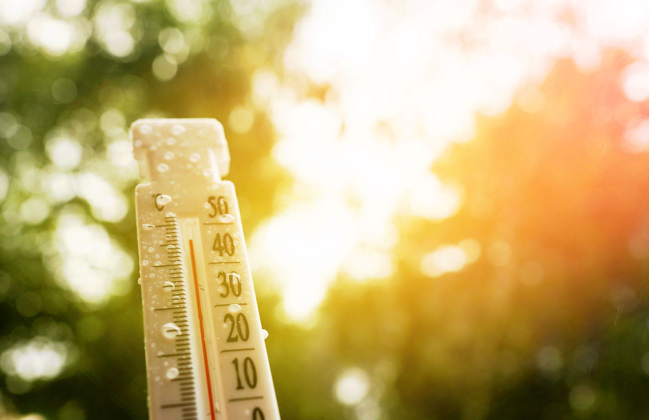 Canicule : ces 13 départements où il va faire extrêmement chaud ce ...